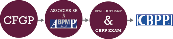 fluxo-cfgp-cbpp | Gauss Consulting Group